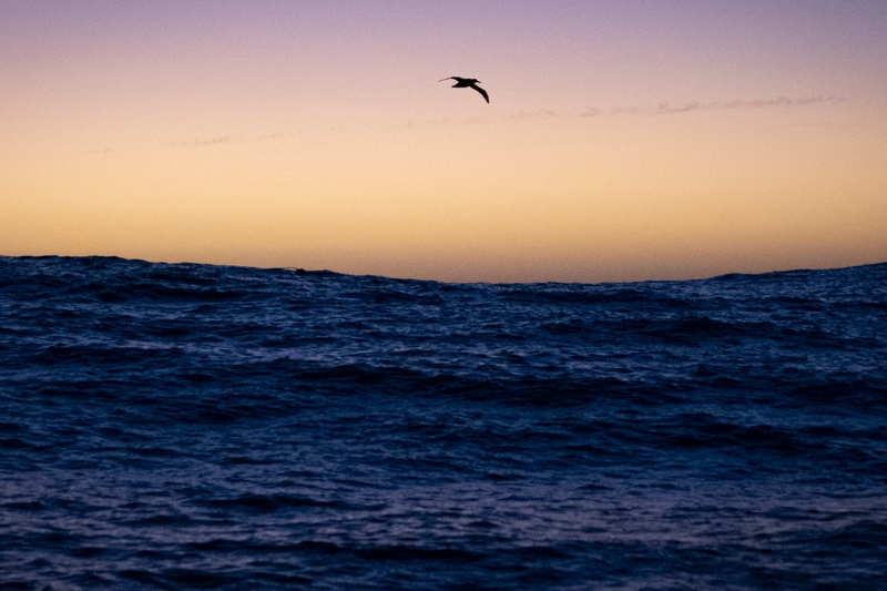 11th Hour Racing Team - CONTENT FROM THE BOATS - The Ocean Race 2022-23